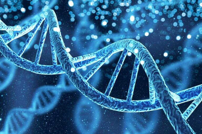 Stephanie Isaacson, l’omicidio risolto con la genealogia genetica
